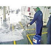 Topax 66 (Топакс-66), ECOLAB, жидкое щелочное моющее средство, канистра ...